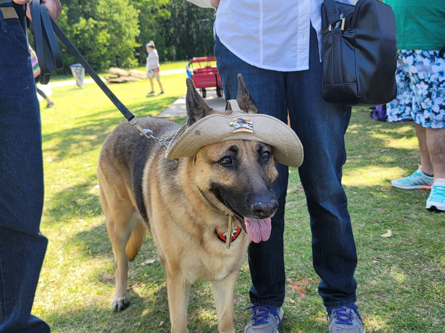 Humane Tomorrow's Fido Fest Sponsor Registration 2023