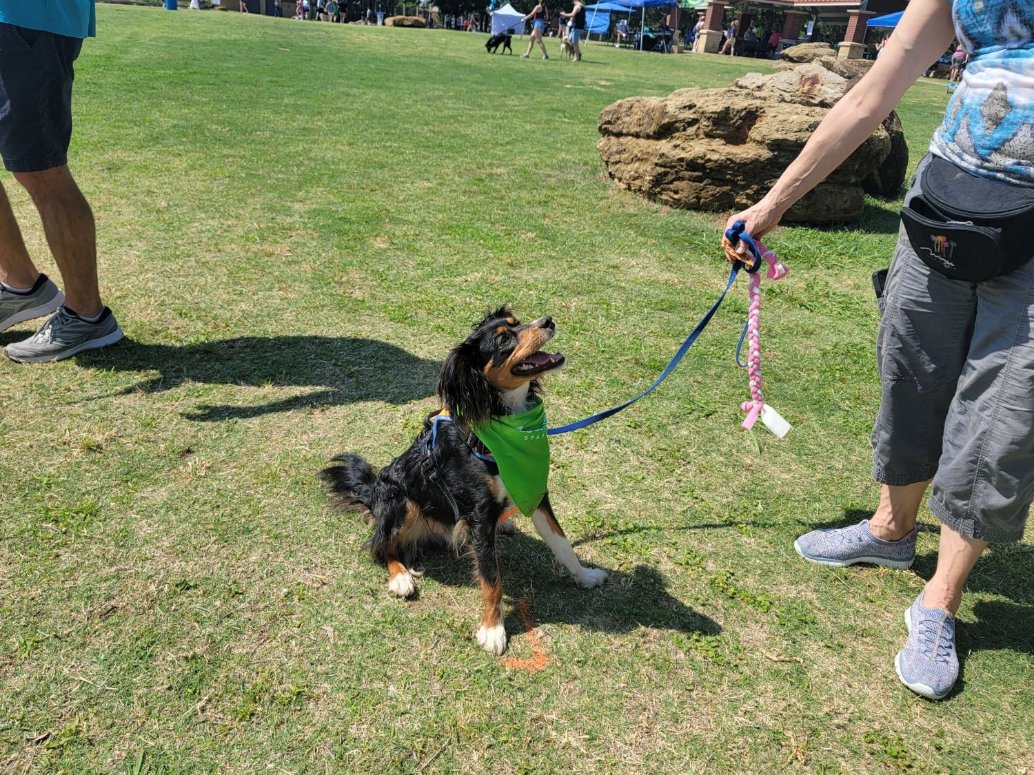 Humane Tomorrow's Fido Fest Sponsor Registration 2023